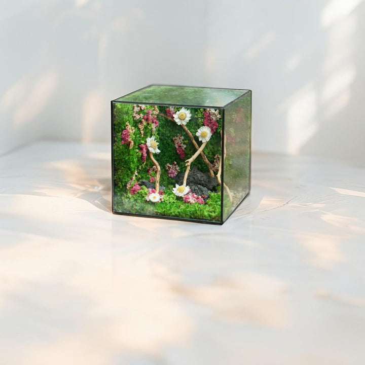 Terrarium Definition: 3 Types, Uses & Care | Mophonic